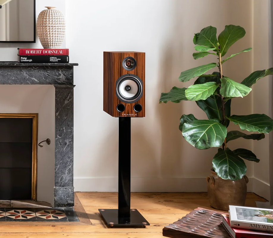 Triangle Comète 40th Anniversary Golden Oak kaiutinpari – Laatulaite Hifi